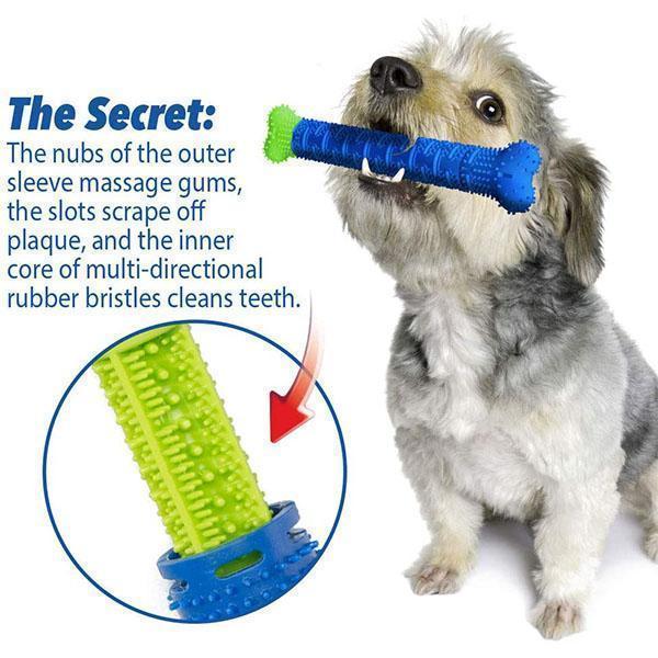 Dog Toothbrush Chew Toy – Slaxr